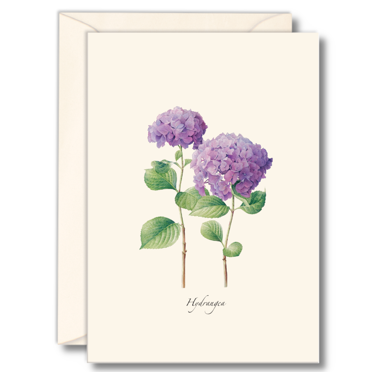 Earth Sky + Water - Hydrangea II – Oliver's Market Co.