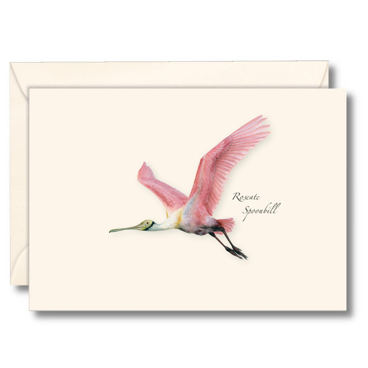 Earth Sky + Water - Roseate Spoonbill – Oliver's Market Co.